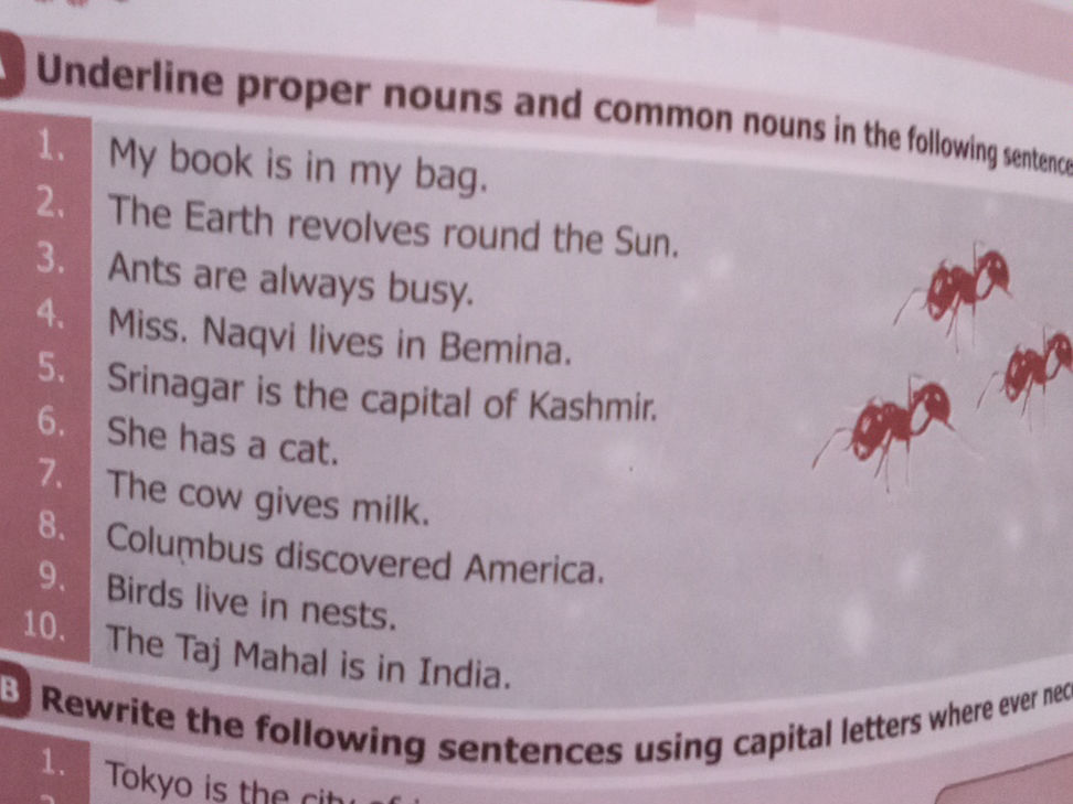 Underline proper nouns and common nouns in | StudyX