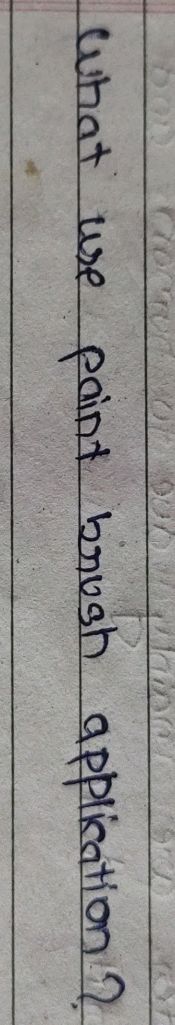 Paint brush application | StudyX