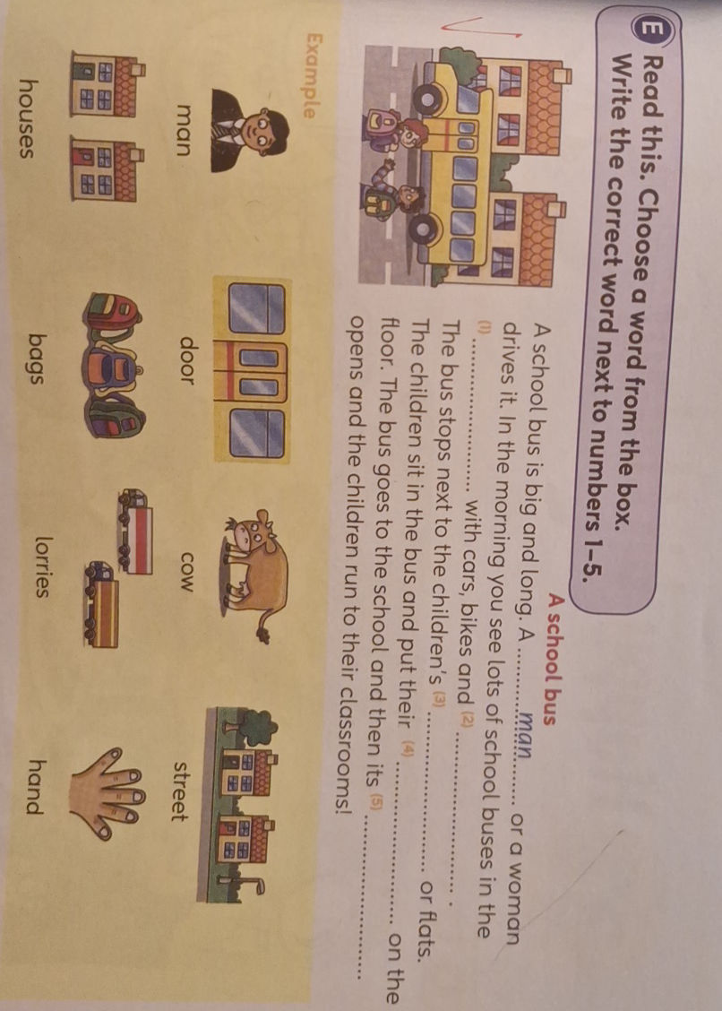 Read this. Choose a word from the box. Write | StudyX