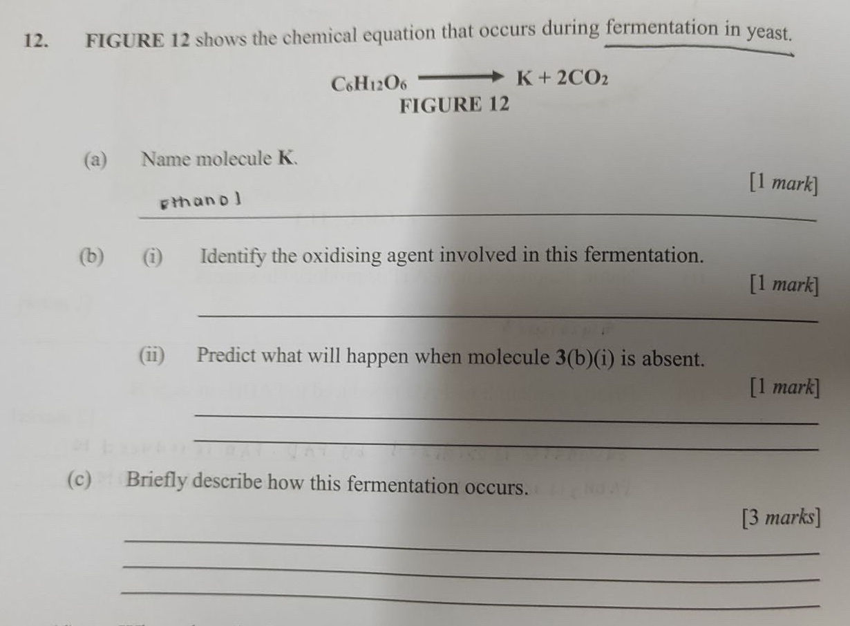 12. FIGURE 12 shows the chemical equation | StudyX