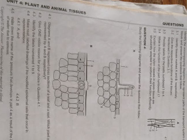 QUESTION 4 Study the following diagrams and | StudyX