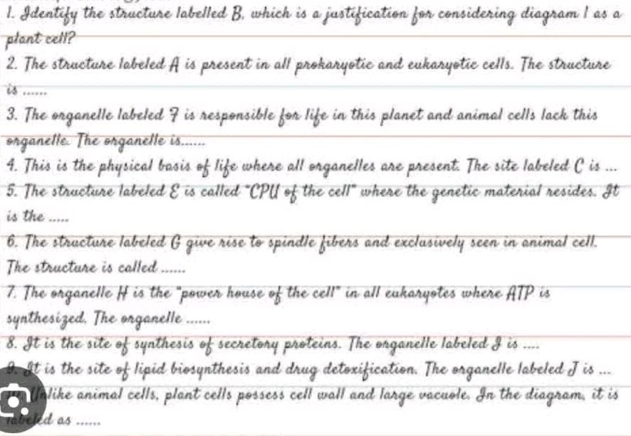1. Identify the structure labelled B, which | StudyX