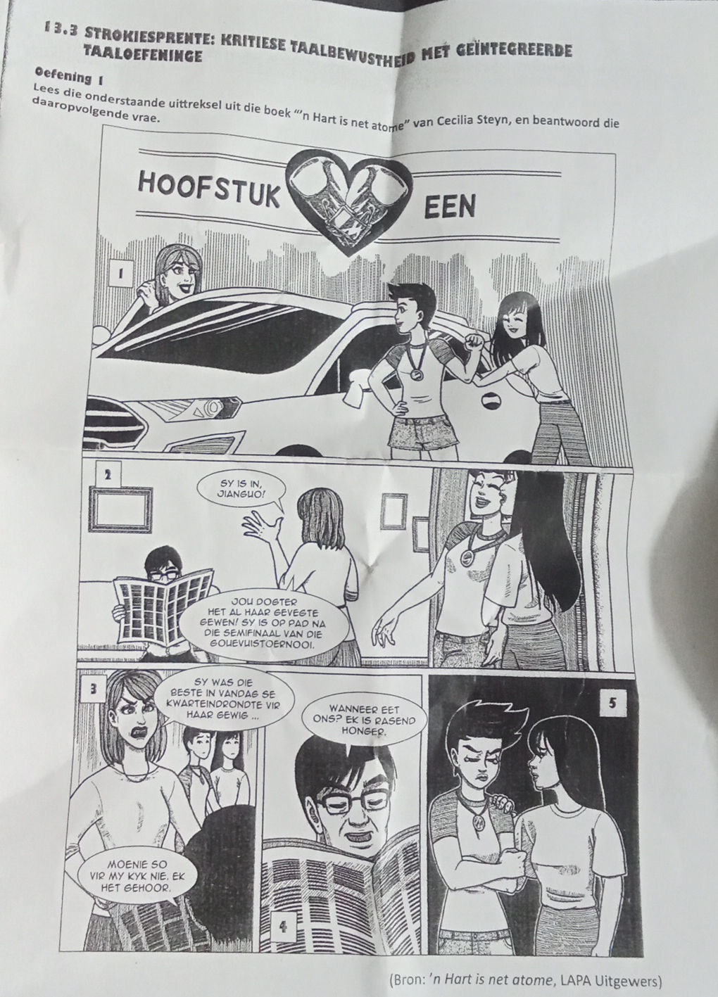 13.3 STROKIESPRENTE: KRITIESE TAALBEWUSTHEID | StudyX