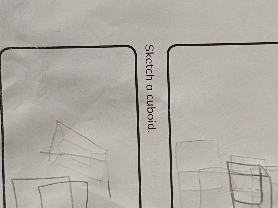How to sketch a cuboid | StudyX