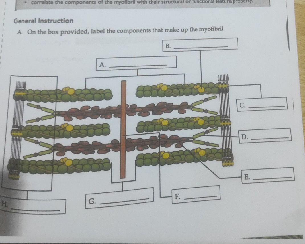 On the box provided, label the components | StudyX