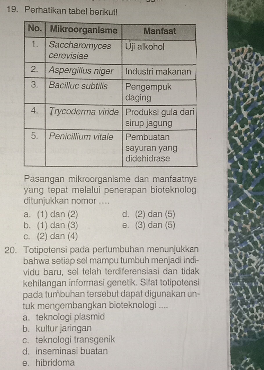 19. Perhatikan tabel berikut! | No. | | StudyX