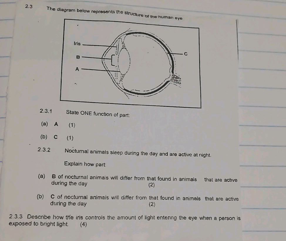 2.3 The diagram below represents the | StudyX