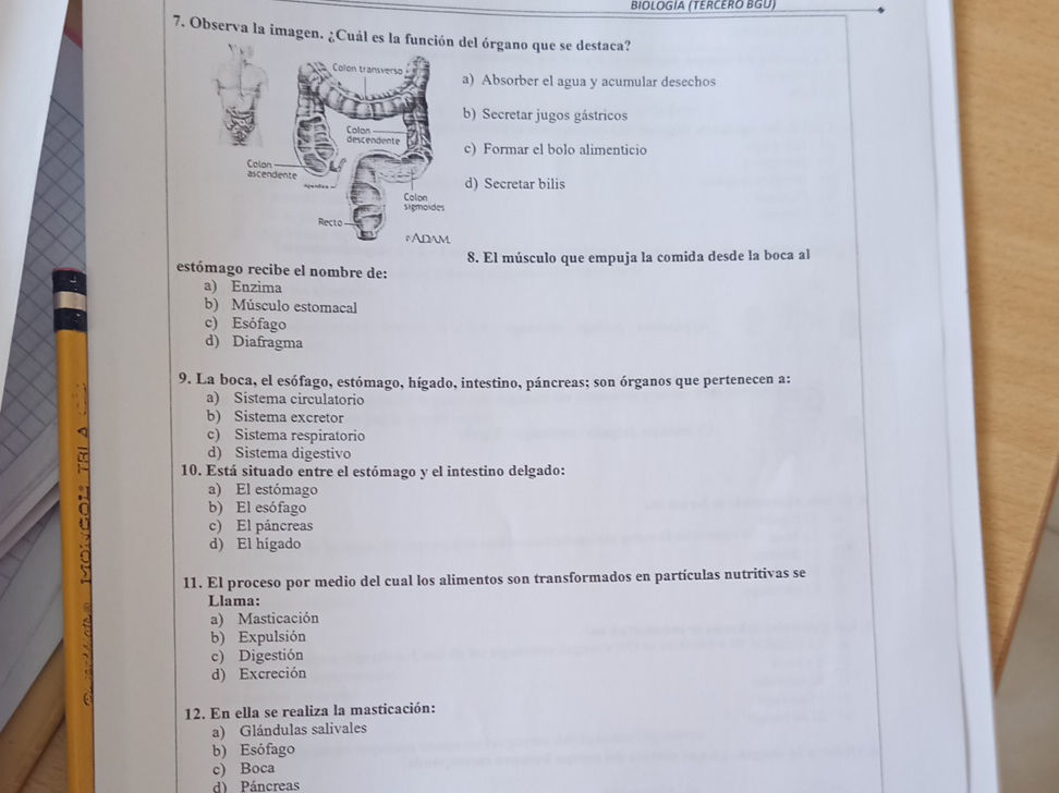 7. Observa la imagen. ¿Cuál es la función | StudyX