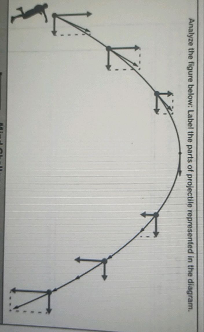 Analyze the figure below: Label the parts of | StudyX