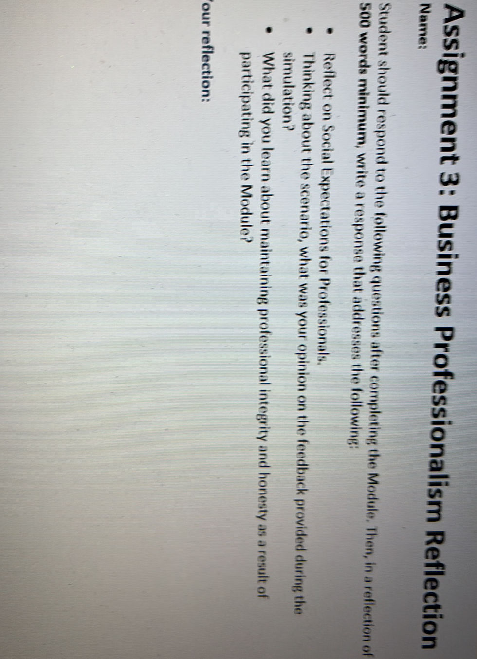 Assignment 3: Business Professionalism | StudyX