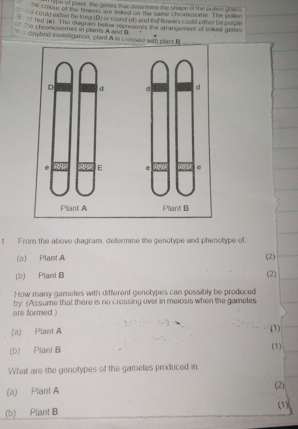 From the above diagram, determine the | StudyX