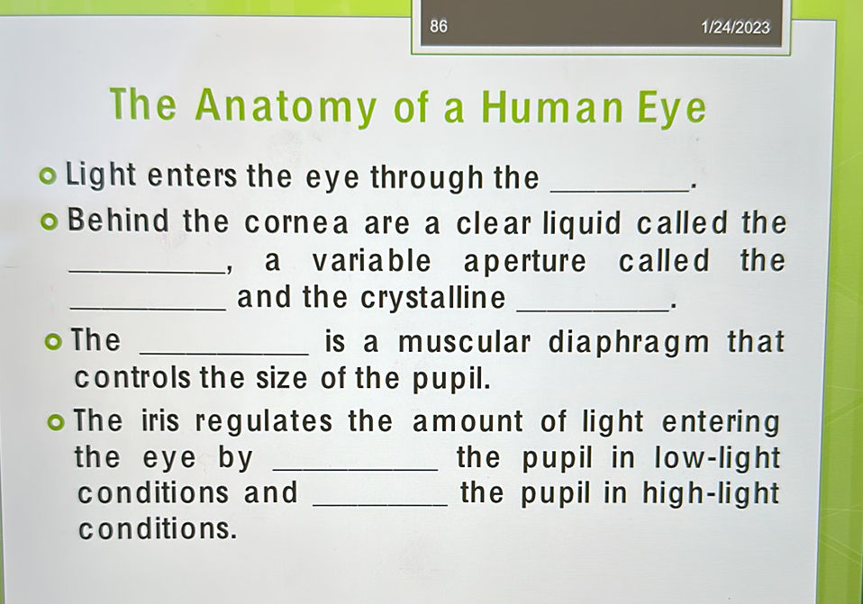 The Anatomy of a Human Eye * Light enters | StudyX