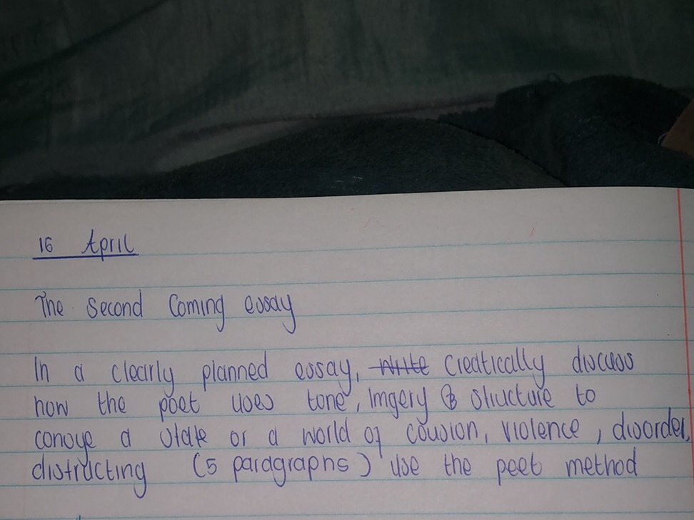 In a clearly planned essay, write critically | StudyX