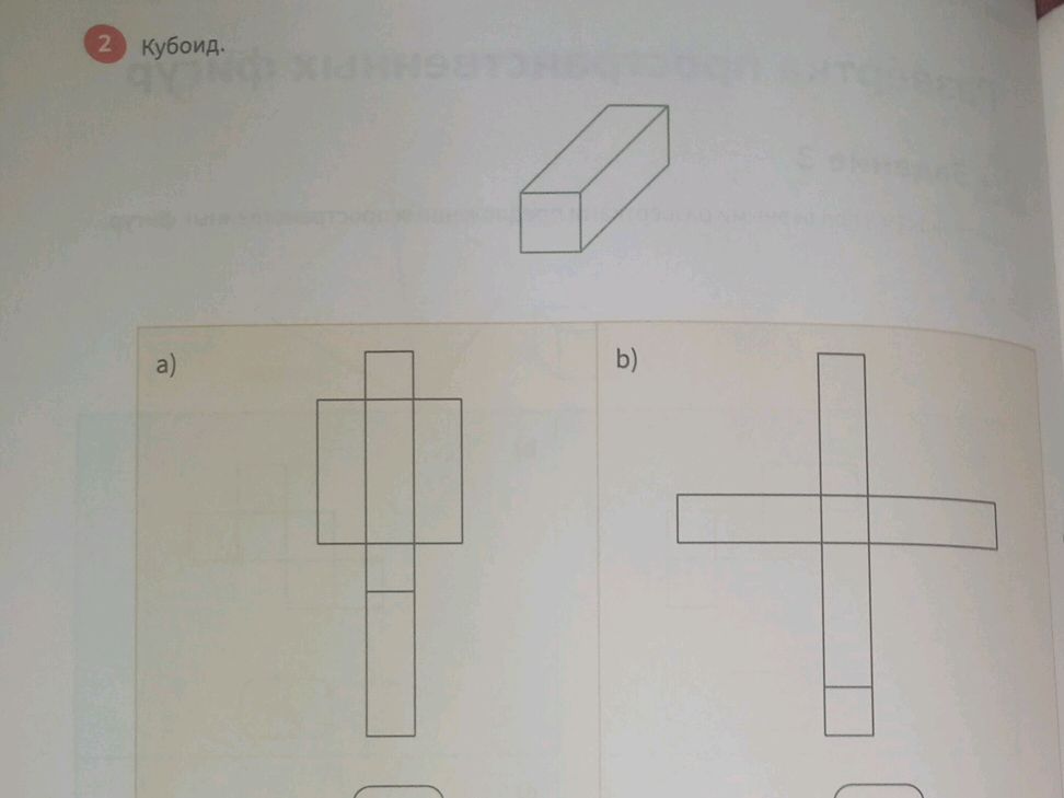 Identifying the net of a cuboid | StudyX