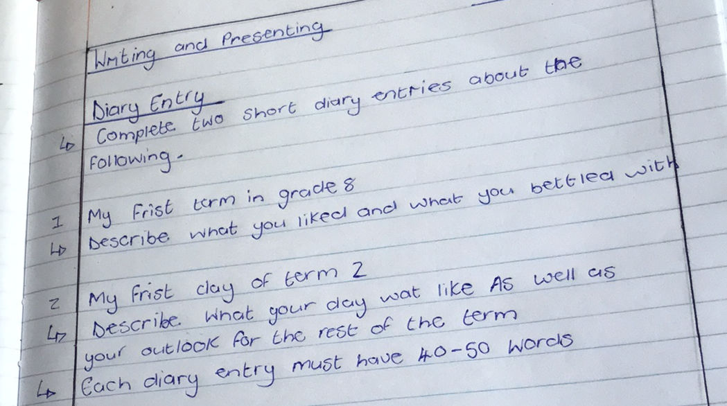 Diary Entry Complete two short diary entries | StudyX