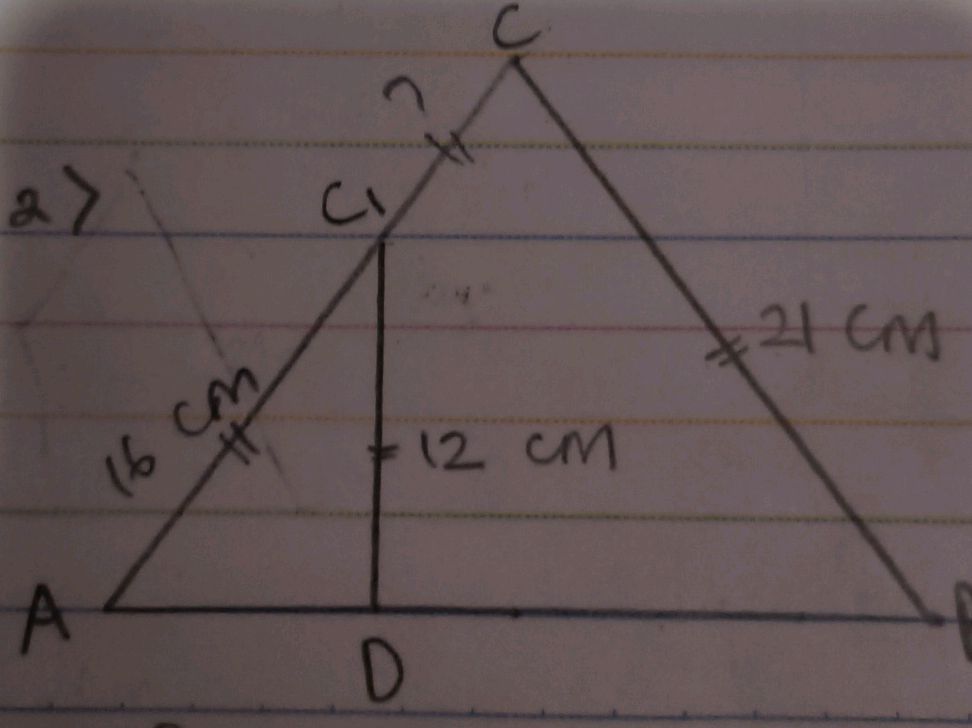 Triangle Geometry Problem: Finding Unknown | StudyX