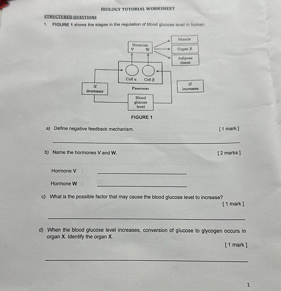 1. FIGURE 1 shows the stages in the | StudyX