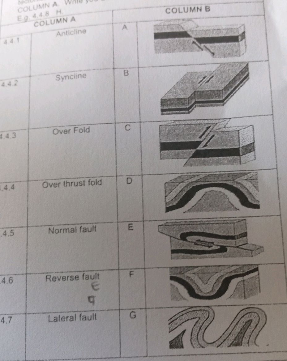 Match the terms in COLUMN A with the | StudyX