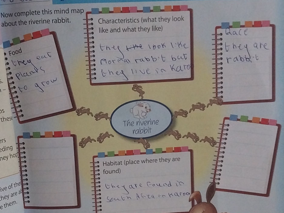 Now complete this mind map about the | StudyX