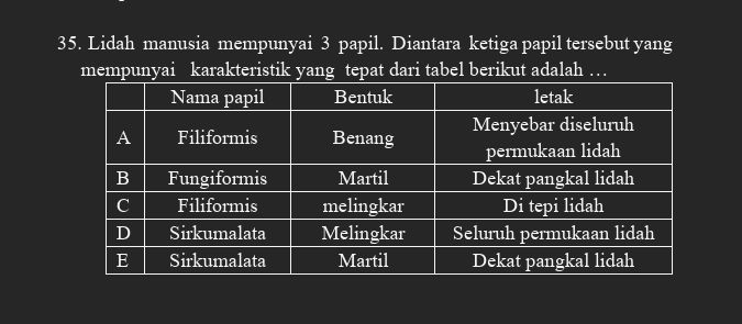 35. Lidah manusia mempunyai 3 papil. | StudyX
