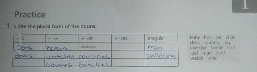 1 Write the plural form of the nouns. | +s | StudyX