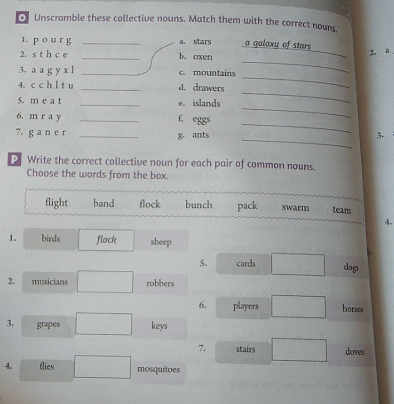 Unscramble these collective nouns. Match | StudyX