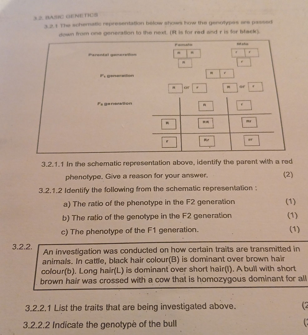 3.2.1 The schematic representation below | StudyX