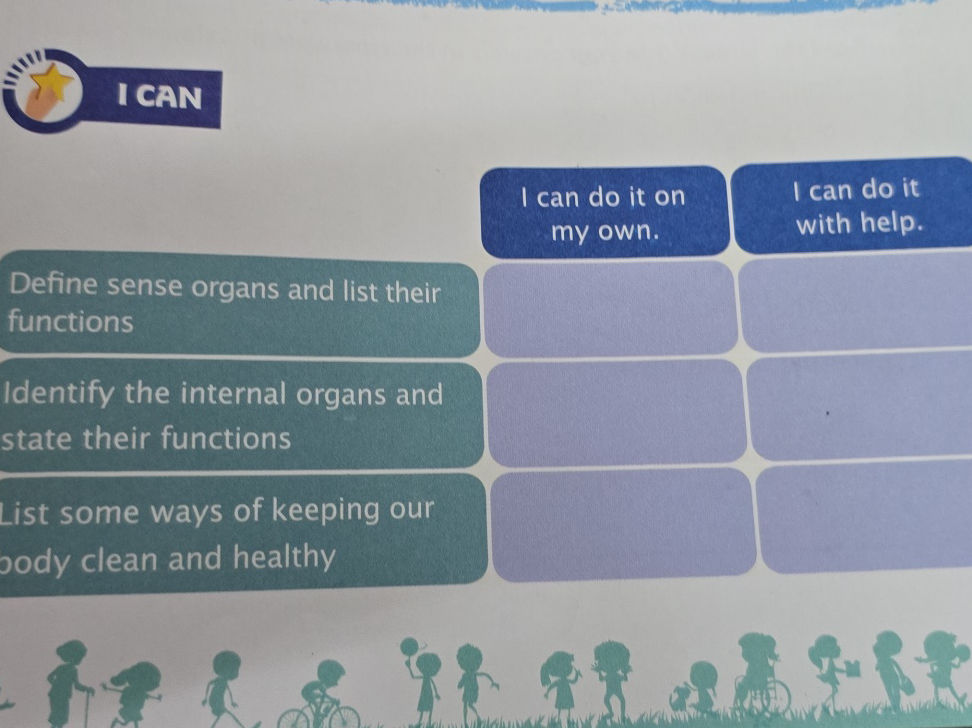 Define sense organs and list their functions | StudyX
