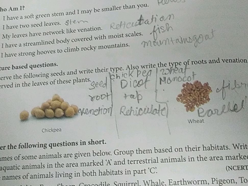 Observe the following seeds and write their | StudyX