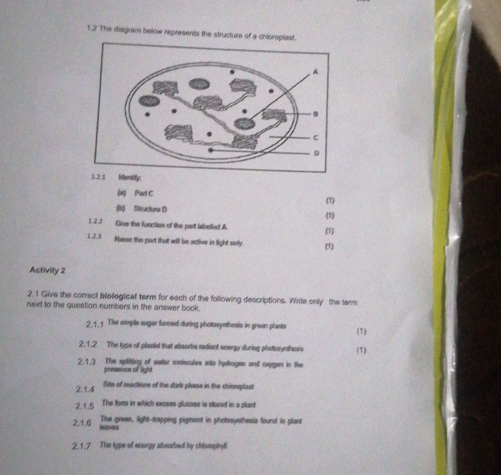 1. 2 The diagram below represents the | StudyX