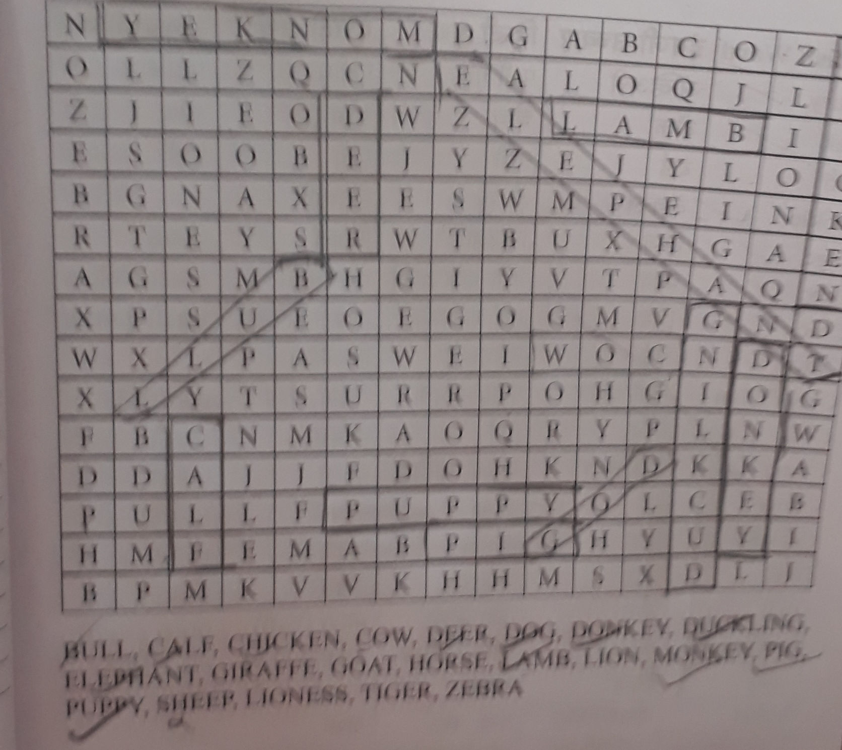 Find the words in the word search puzzle: | StudyX