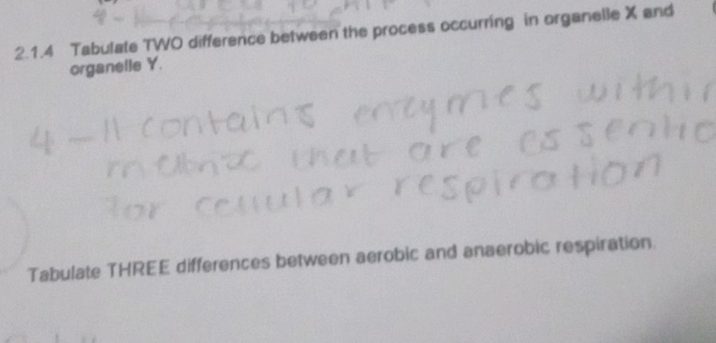 2.1.4 Tabulate TWO difference between the | StudyX