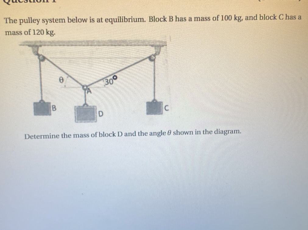 The pulley system below is at equilibrium. | StudyX