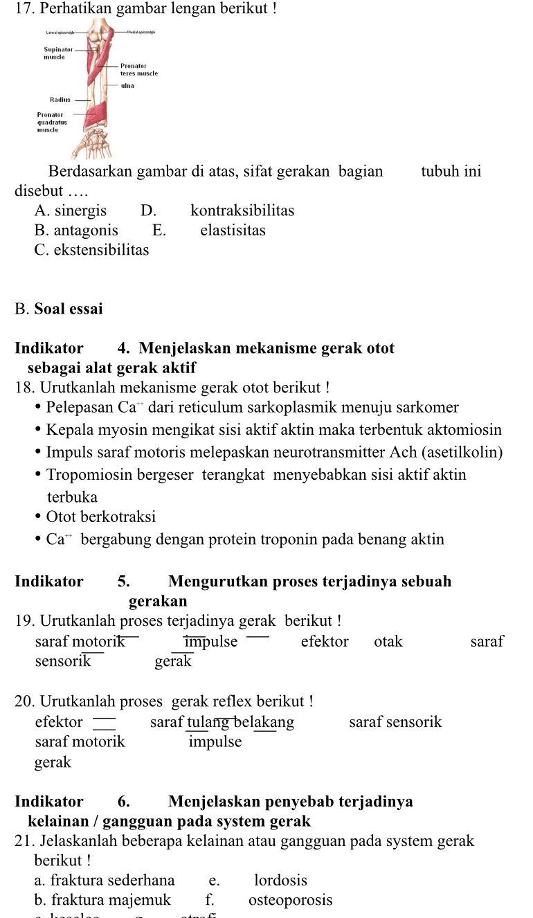 17. Perhatikan gambar lengan berikut ! | StudyX