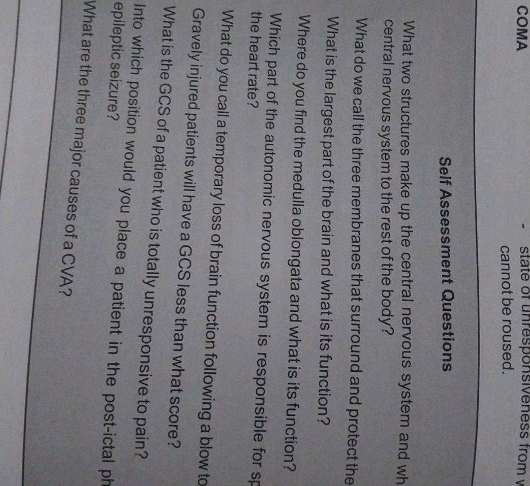 What two structures make up the central | StudyX