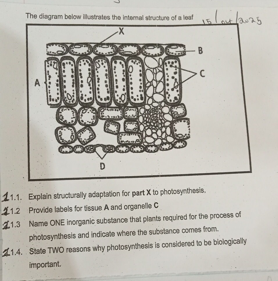 The diagram below illustrates the internal | StudyX
