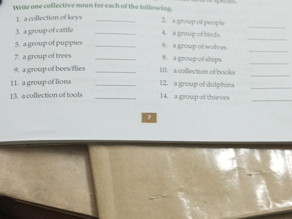 Write one collective noun for each of the | StudyX