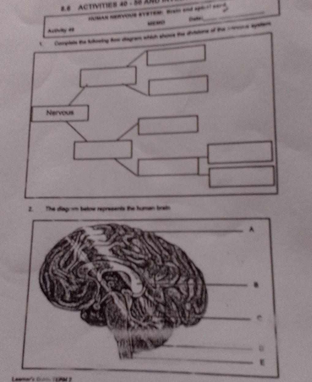1. Complete the following flow diagram which | StudyX