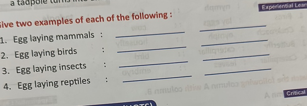 Give two examples of each of the following : | StudyX