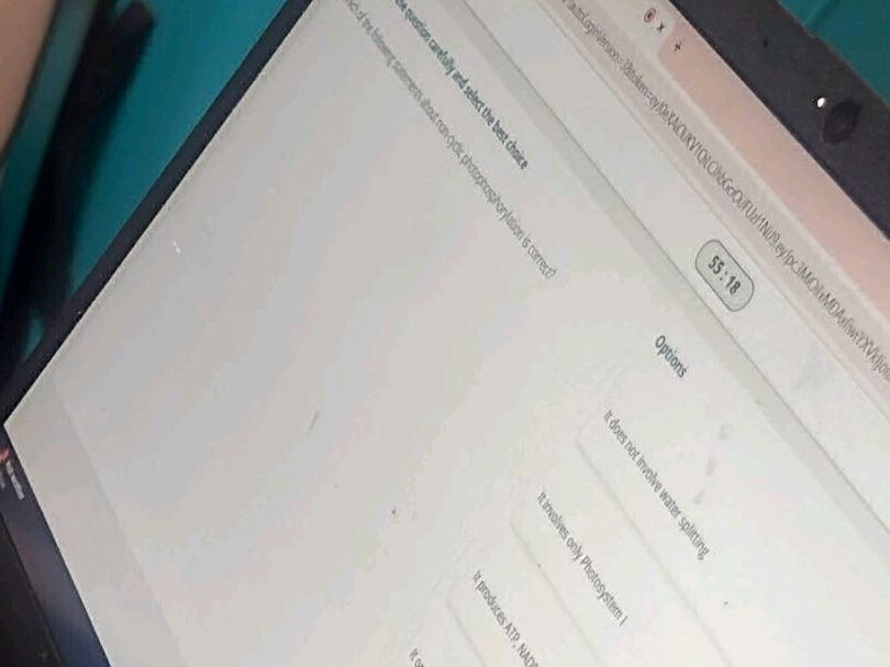 Read the question carefully and select the | StudyX