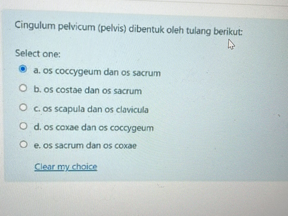 Cingulum pelvicum (pelvis) dibentuk oleh | StudyX