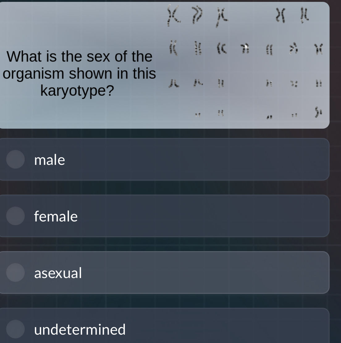 What is the sex of the organism shown in | StudyX