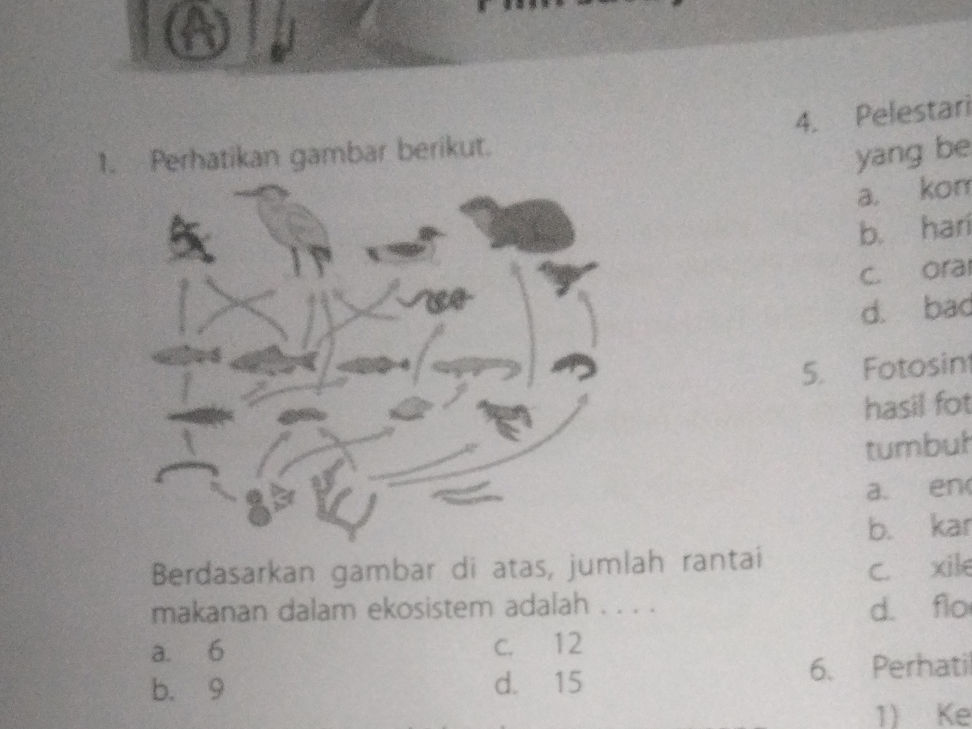 1. Perhatikan gambar berikut. Berdasarkan | StudyX