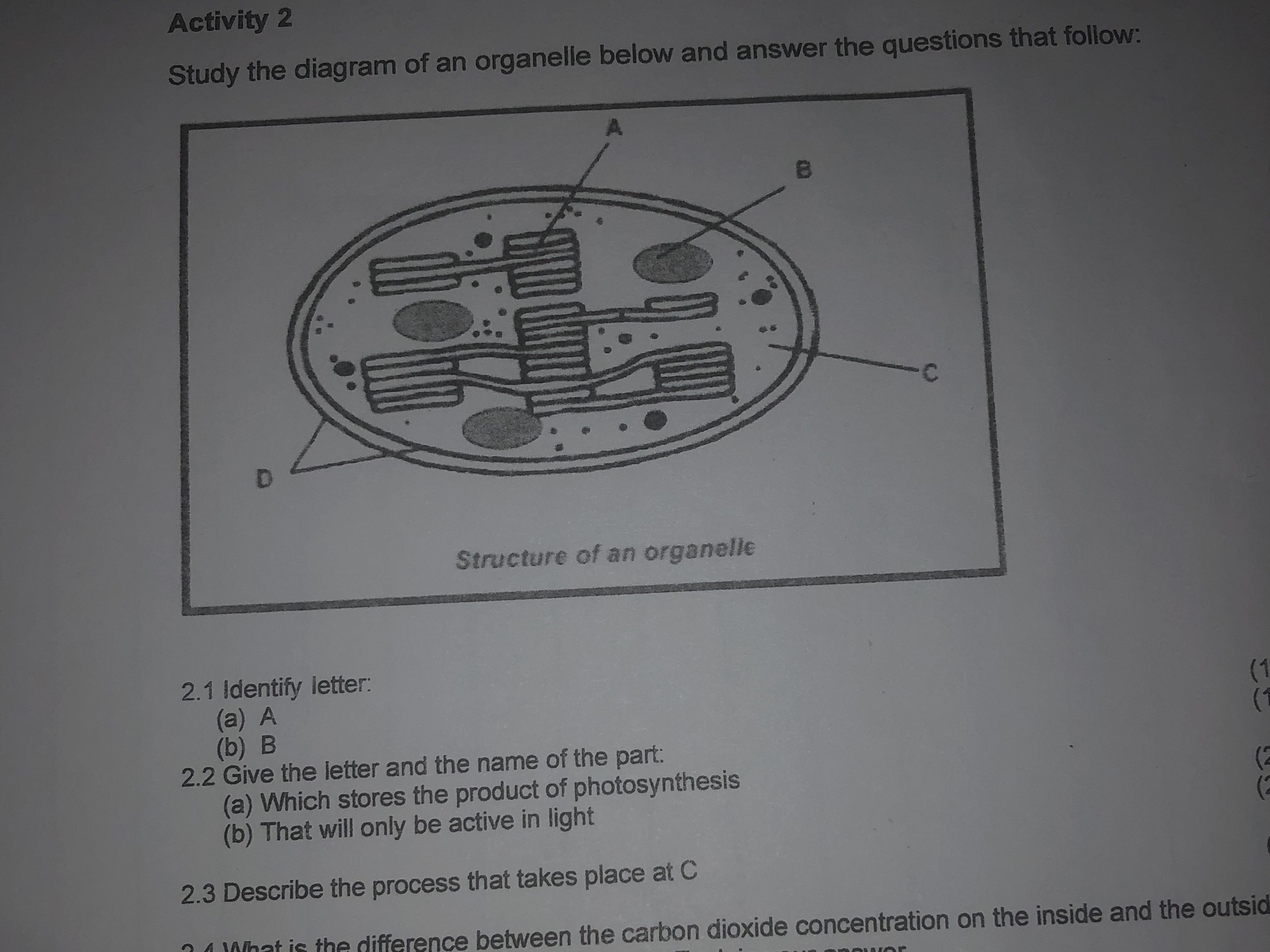 Study the diagram of an organelle below and | StudyX