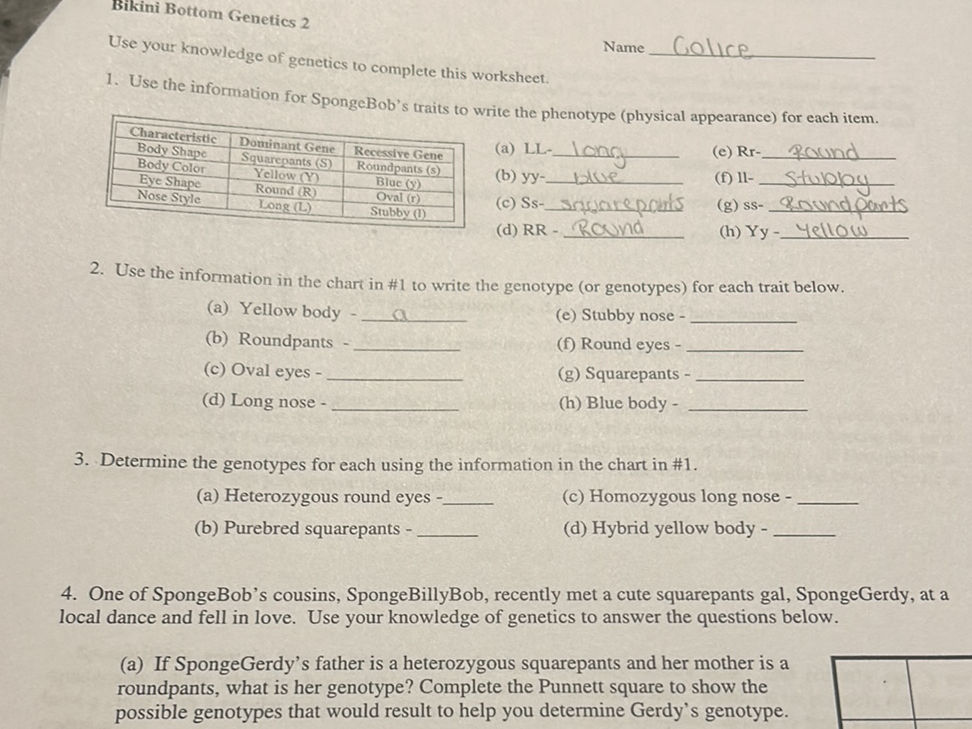 Bikini Bottom Genetics 2 Use your knowledge | StudyX