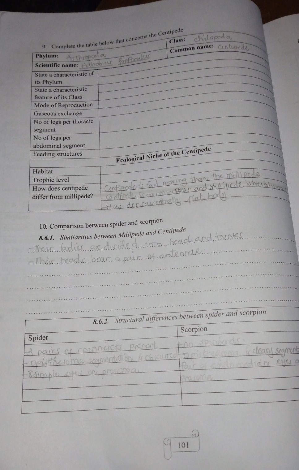 9. Complete the table below that concerns | StudyX
