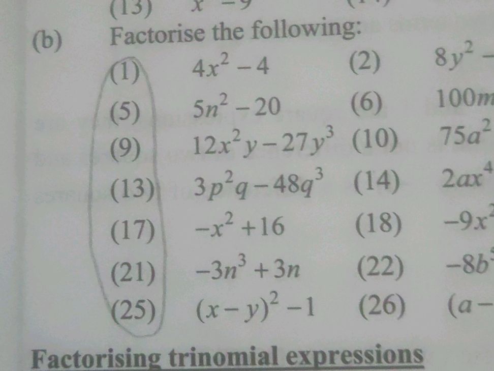 Factorise the following: (1) $4x^2 - 4$ (5) | StudyX