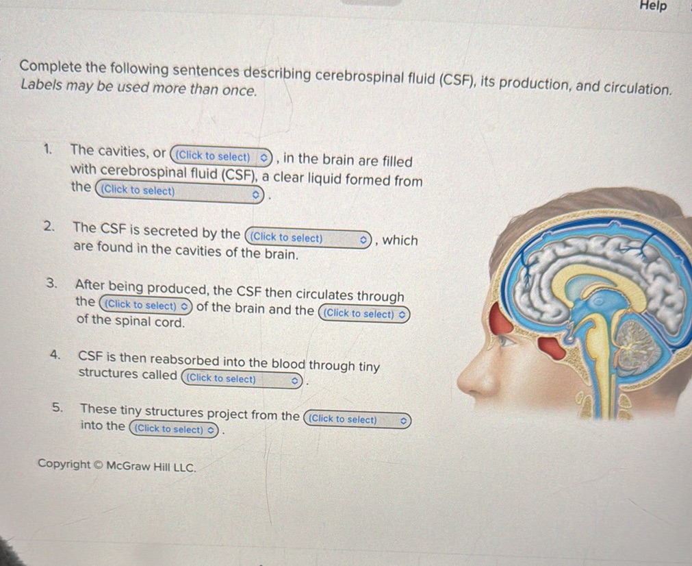 Complete the following sentences describing | StudyX