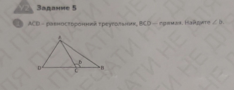 ACD - равносторонний треугольник, BCD - | StudyX