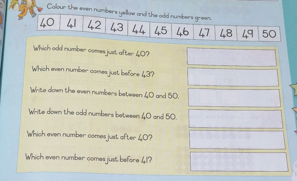Which odd number comes just after 40? Which